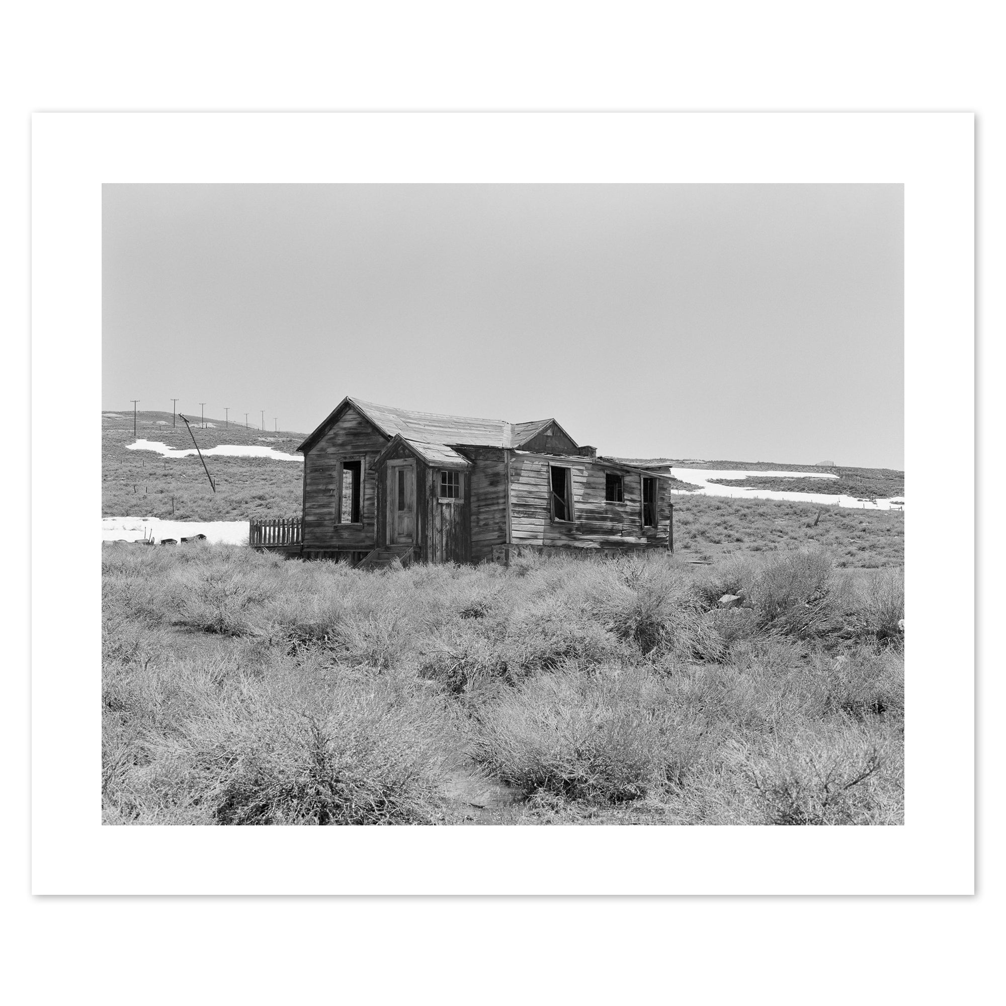 USA - Bode #12 BW – Boulevard Veneer